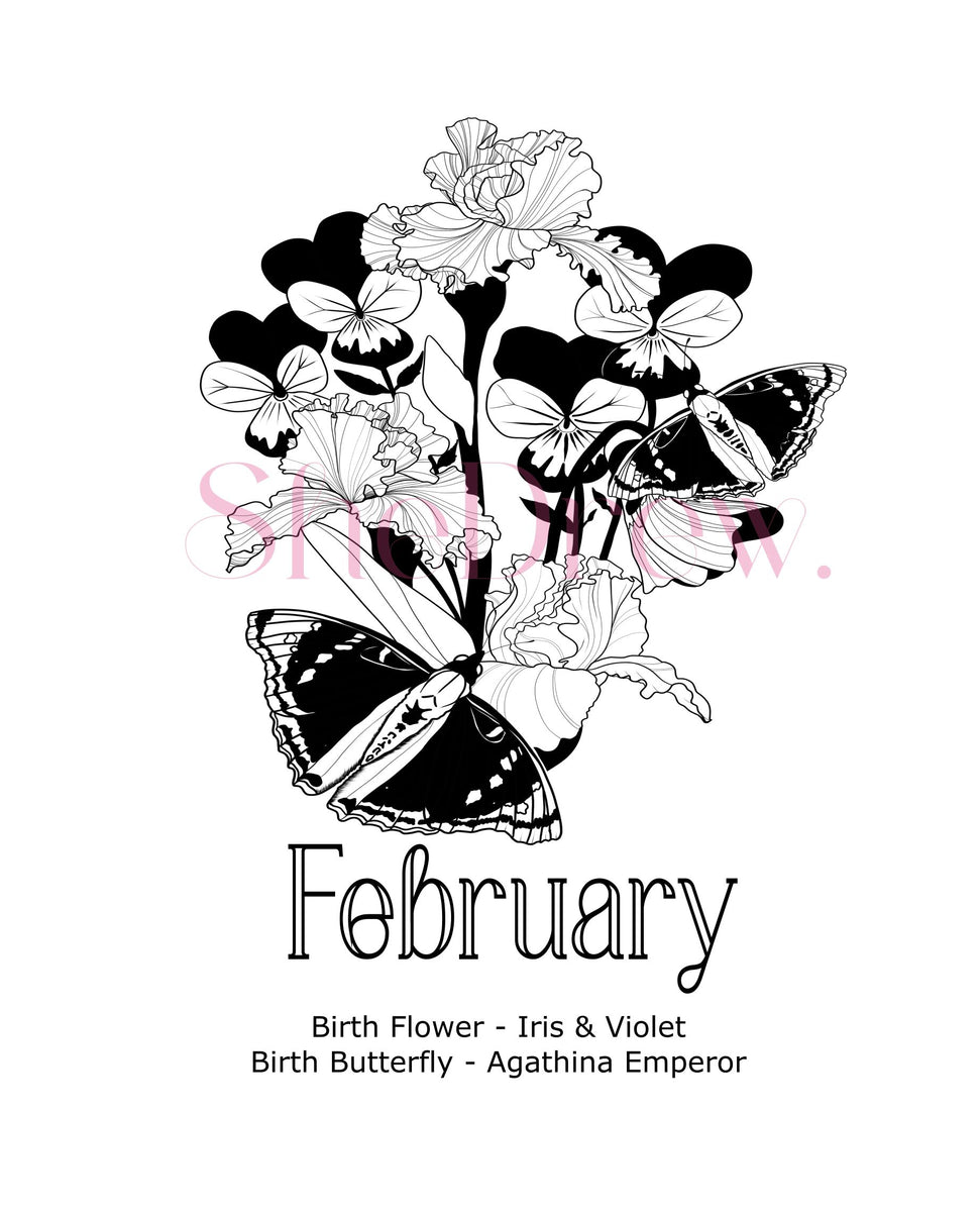 February Birth Month Flowers & Butterfly – SheDrew.