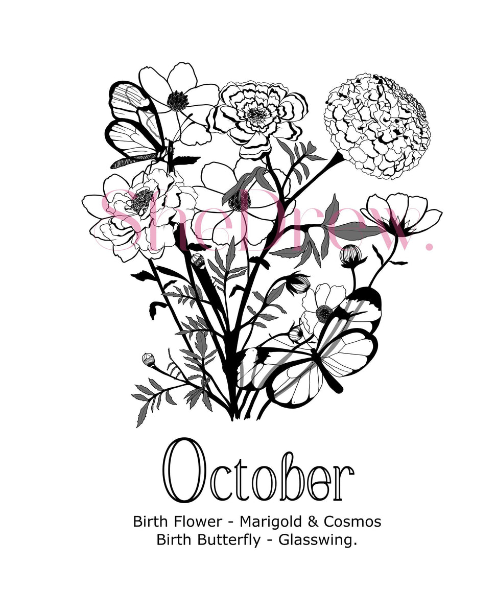 October Birth Month Flowers & Butterfly – SheDrew.