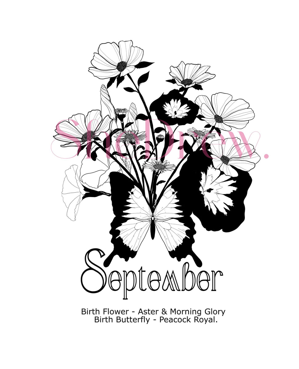 September Birth Month Flowers & Butterfly – SheDrew.